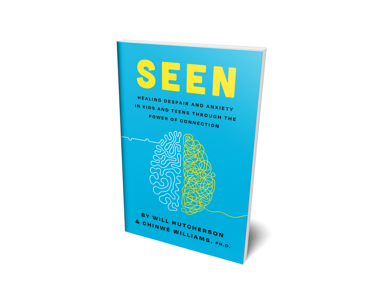 Seen Book | Helping Kids and Teens Overcome Despair and Anxiety