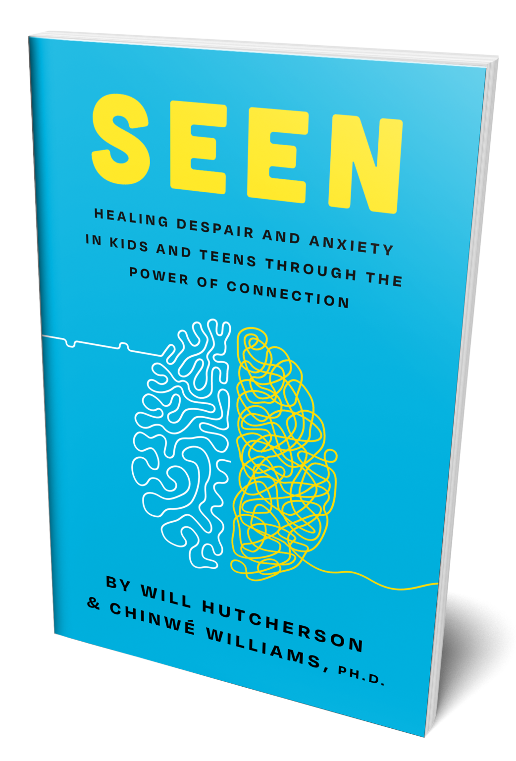 Seen Book | Helping Kids and Teens Overcome Despair and Anxiety